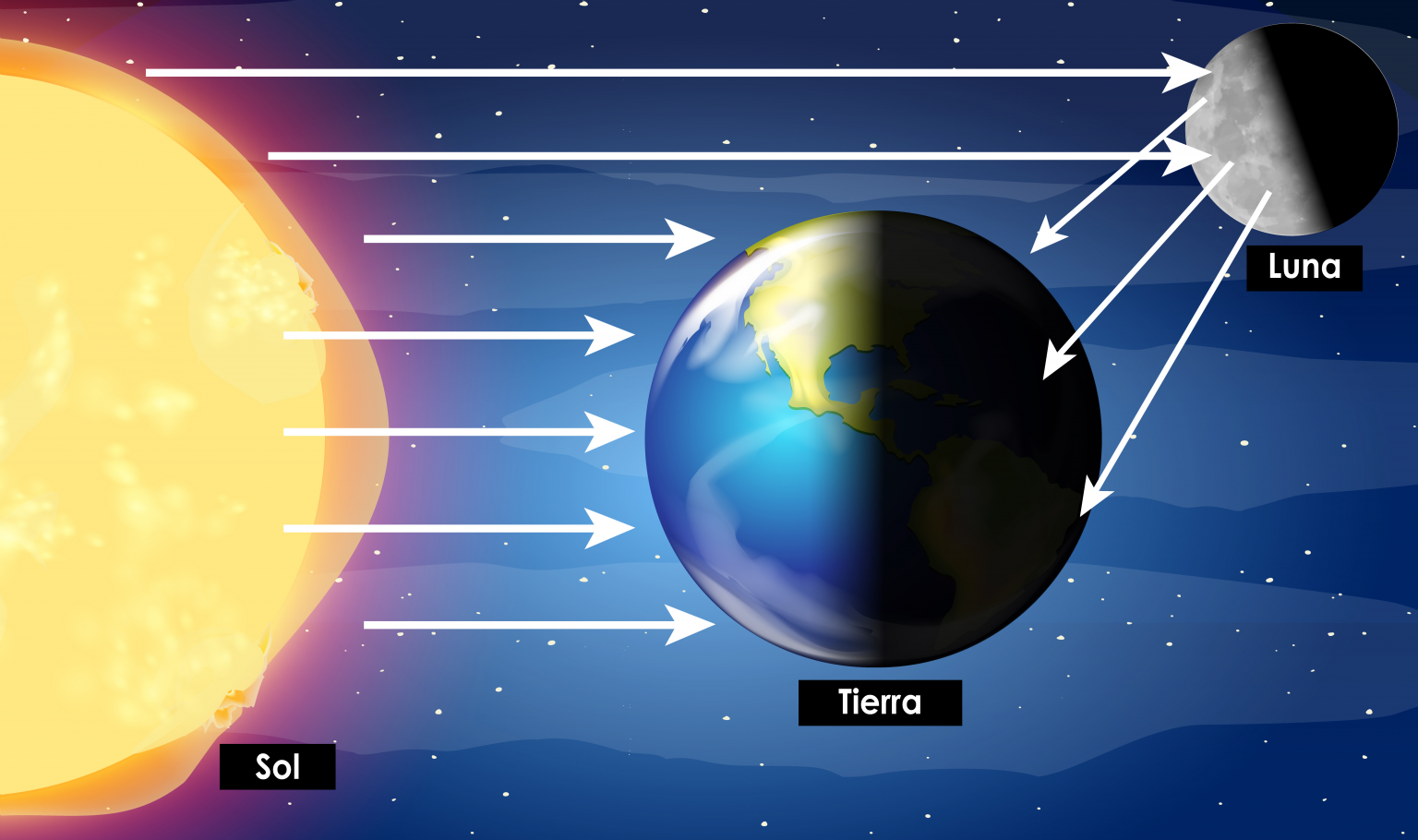¿A dónde se va el Sol durante la noche? - Hago mi Tarea