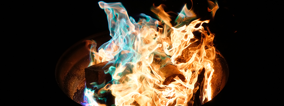 Jabeth Wilson Visión general masilla fuego de colores Caballo Claire ...